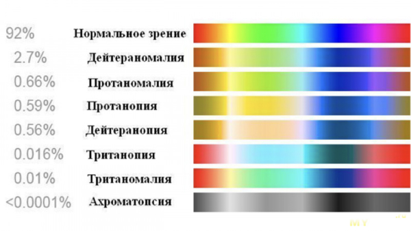 Очки для дальтоников Pilestone в Оптик Сити.